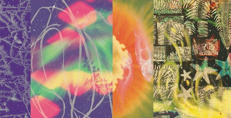 Nap Eyes – The Neon Gate (Album Review) - KLOF Mag